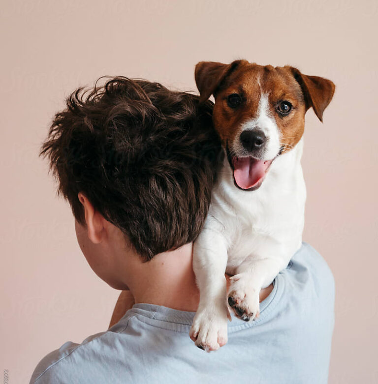 Initiate Pet Cloning | ViaGen Pets